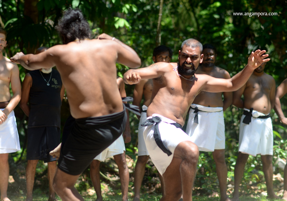 Angampora - Ceylon Digest