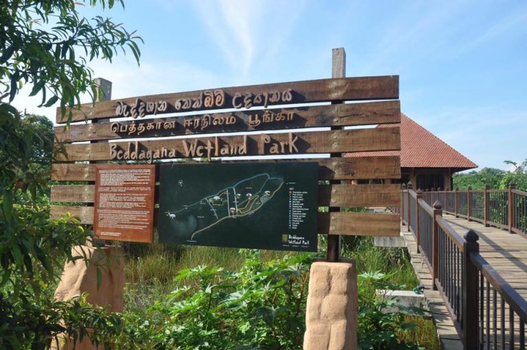 Beddagana Wetland Park - Ceylon Digest