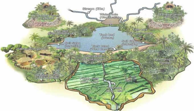 Tank Cascade System (Ellanga System) | Ceylon Digest